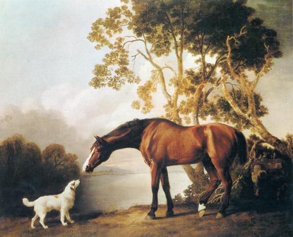 George Stubbs Bay Horse and White Dog Painting | Best Paintings For Sale